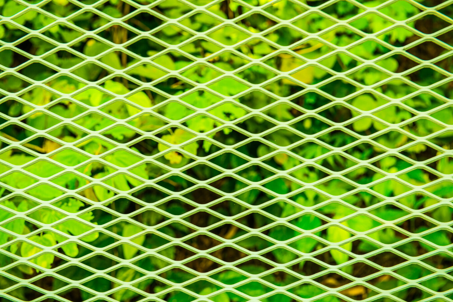 How Is Expanded Metal Used in Fencing & Grating?